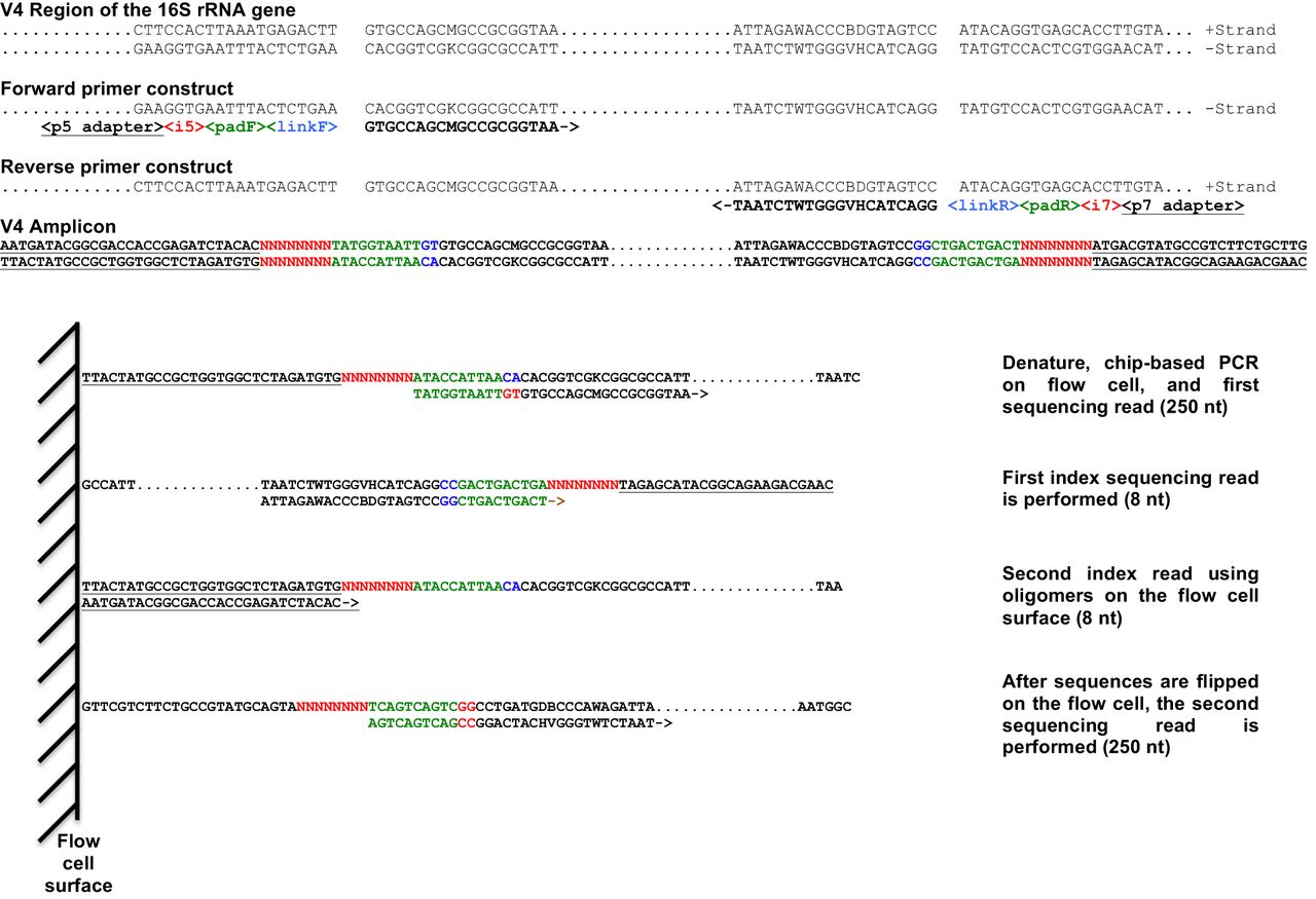 Extra Barcoding Details - Baltimore Underground Science Space